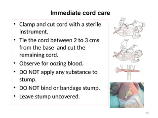 Neonatal and Child Health 2.pptx Reproductive | PPTX