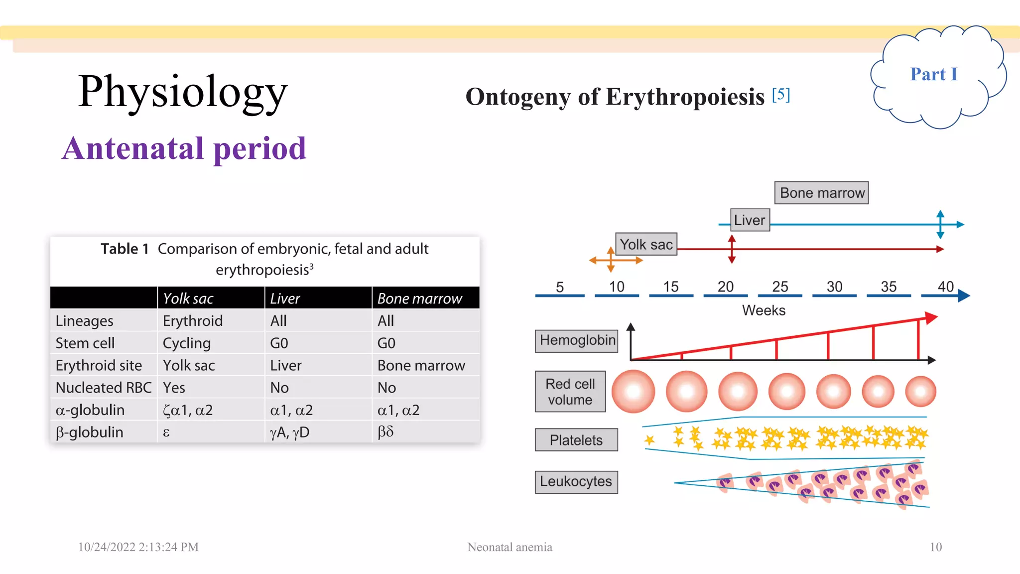 Neonatal anaemia: overview of pathophysiology, clinical approaches and ...