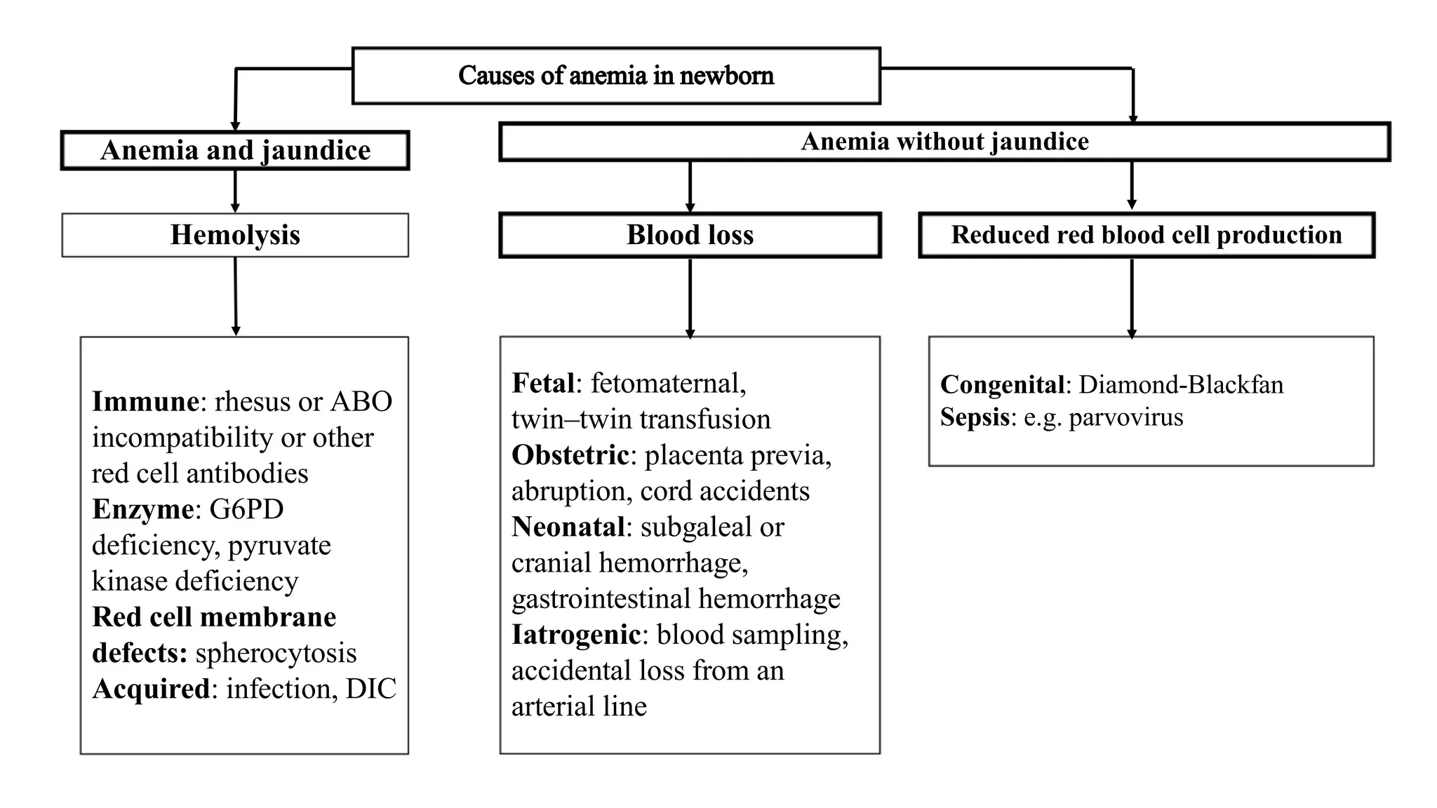 Neonatal anaemia: overview of pathophysiology, clinical approaches and ...
