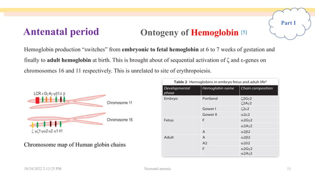 Neonatal anaemia: overview of pathophysiology, clinical approaches and ...
