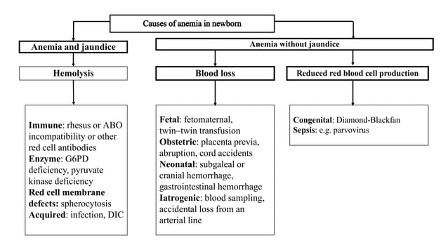 Neonatal anaemia: overview of pathophysiology, clinical approaches and ...