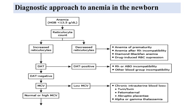 Neonatal anaemia: overview of pathophysiology, clinical approaches and ...