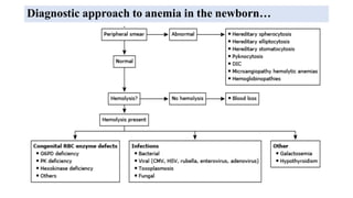 Neonatal anaemia: overview of pathophysiology, clinical approaches and ...