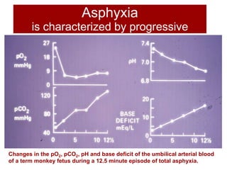 Neonatal asphyxia and resuscitation 2024.ppt