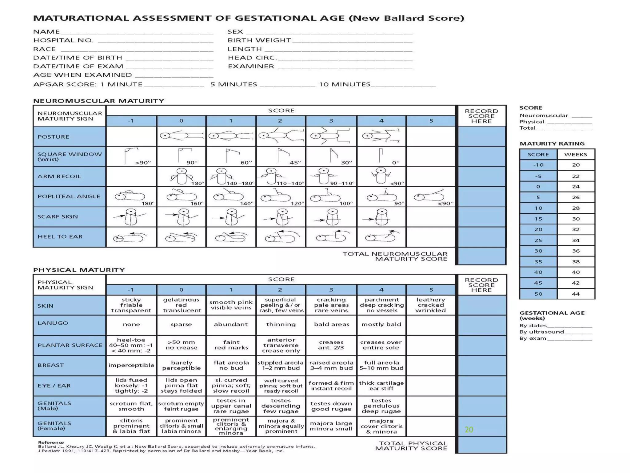 Neonatal assessment | PDF