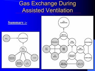 Neonatal assisted ventilation | PDF