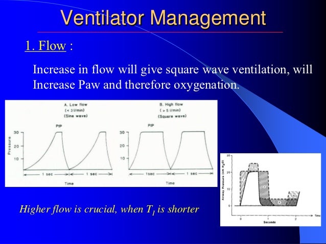 Neonatal assisted ventilation