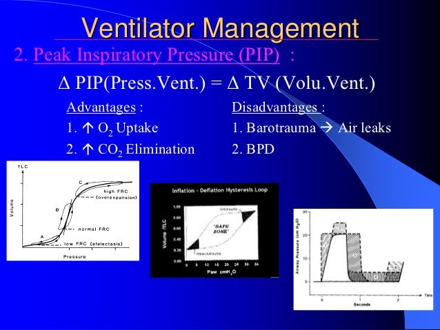 Neonatal assisted ventilation