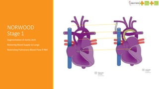 Neonatal cardiac emergency | PPTX | Heart and Cardiovascular Diseases ...