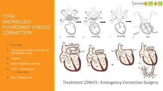 Neonatal cardiac emergency | PPTX