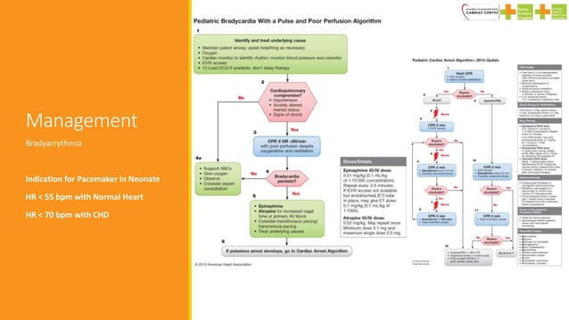 Neonatal cardiac emergency | PPTX | Heart and Cardiovascular Diseases ...