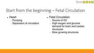 Neonatal cardiac emergency | PPTX | Heart and Cardiovascular Diseases ...