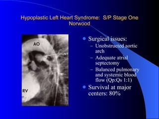 Neonatal Cardiology | PPT