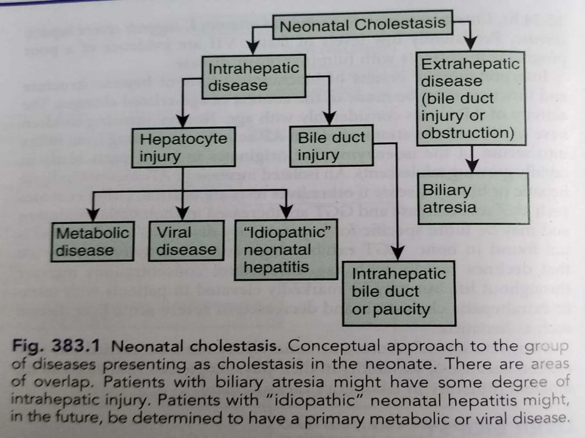 Neonatal cholestasis.pptx