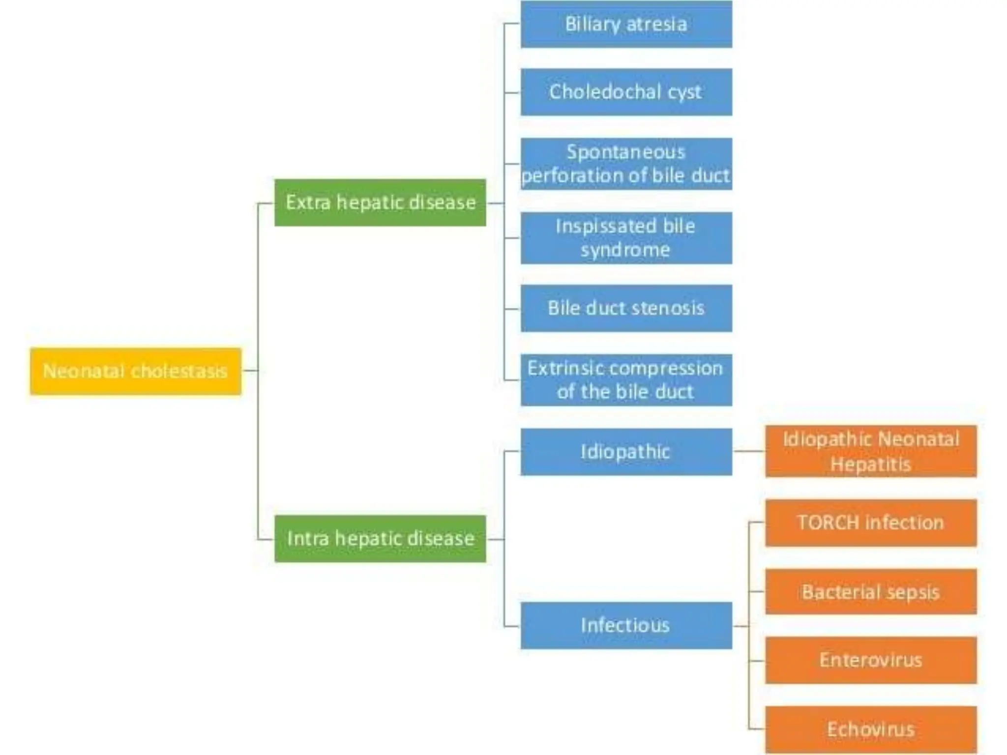 Neonatal cholestasis.pptx