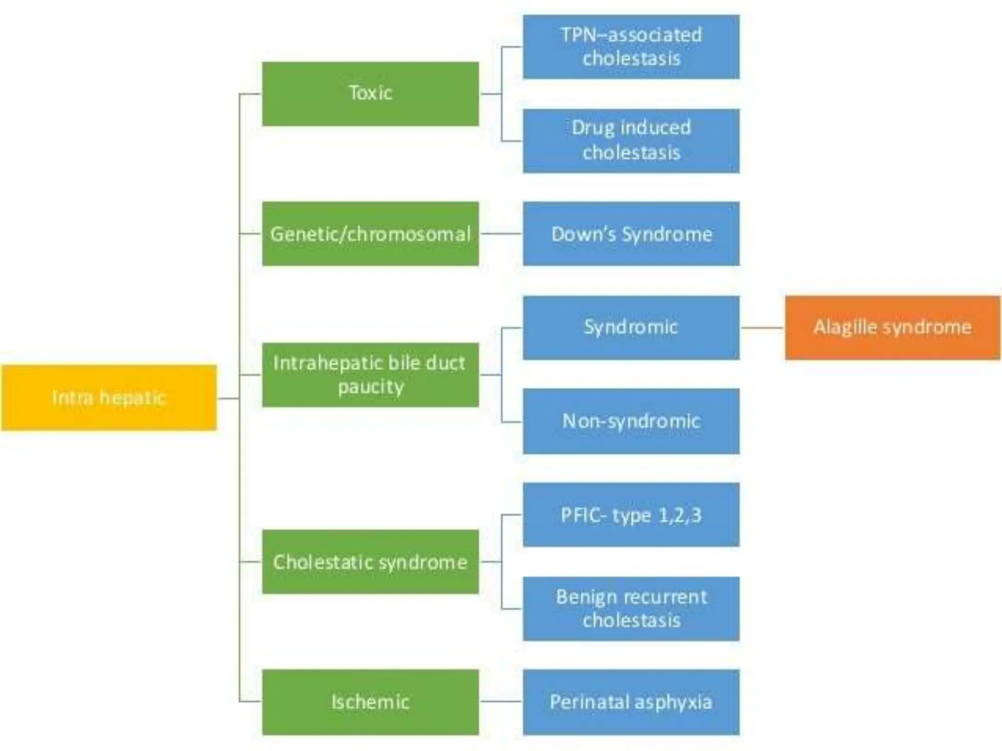 Neonatal cholestasis.pptx