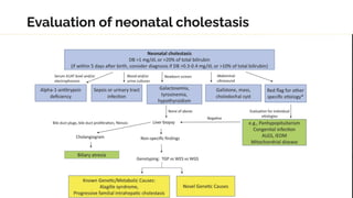 NEONATAL CHOLESTASIS , UODATES ON DIAGNOSIS , TREATMENT AND PREVENTION ...