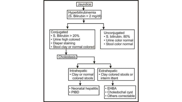 neonatal cholestasis explained in details | PPT