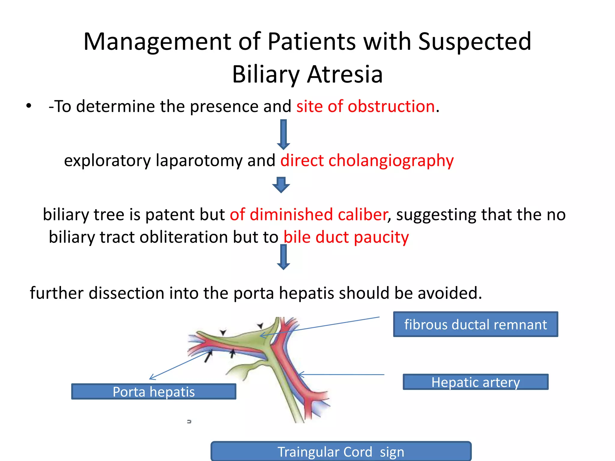 PPT on Neonatal cholestasis by Dr.ajay k chourasia | PPTX