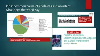 Management of Neonatal Cholestasis: In dept Analysis | PPTX