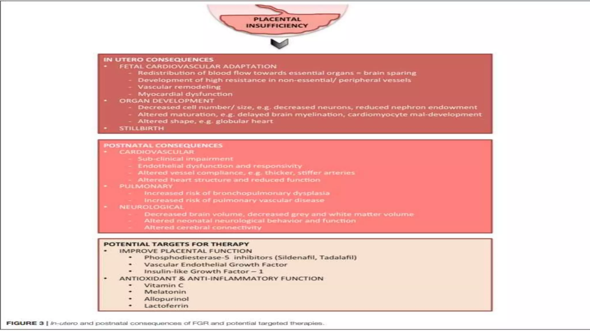 Neonatal complication.pptx