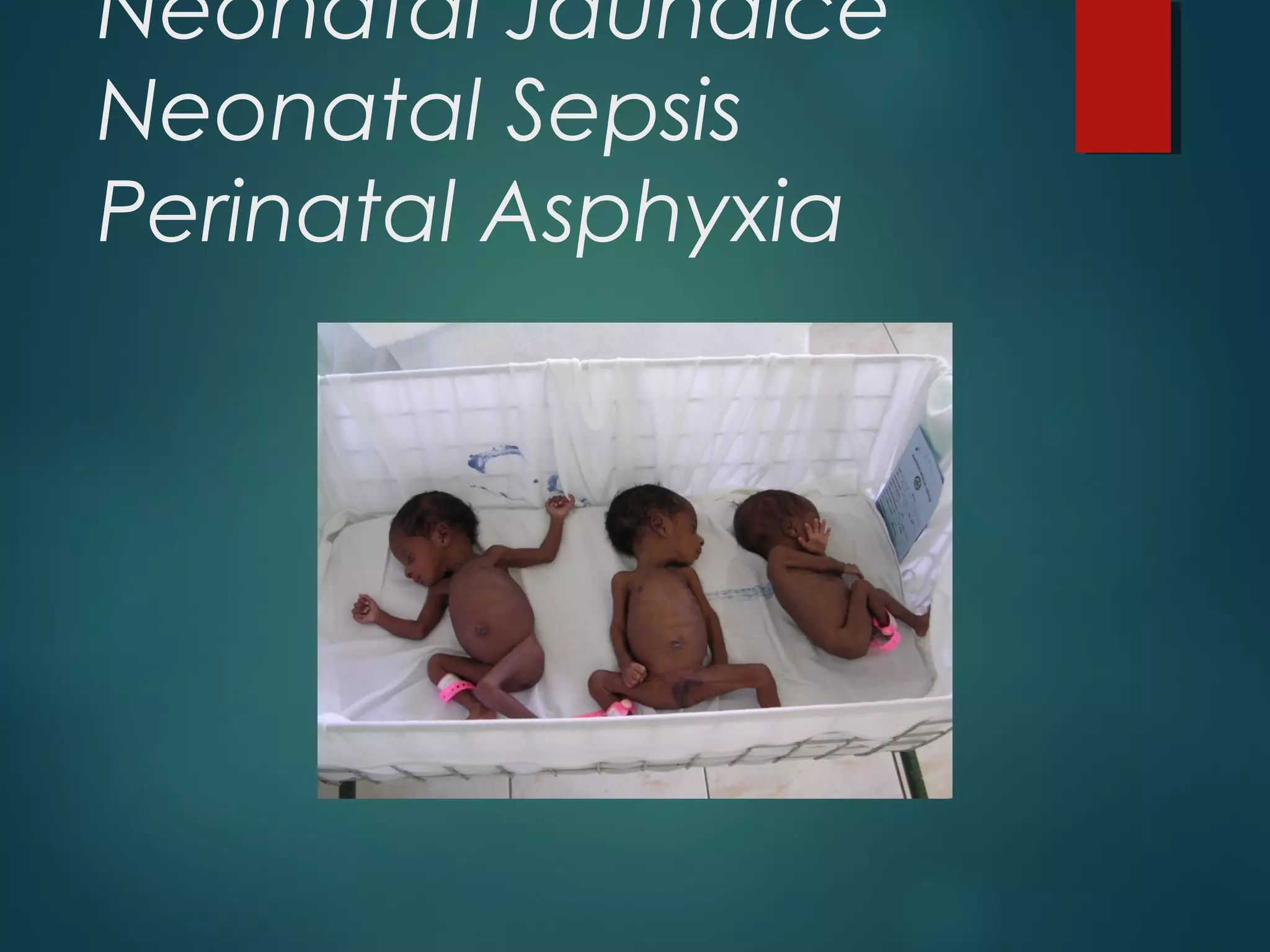 Neonatal conditions | PPT