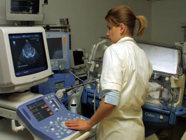Cranial Ultrasound of neonate | PPT | Brain and Nervous System ...