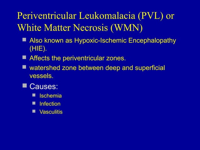 Cranial Ultrasound of neonate | PPT | Brain and Nervous System ...