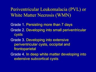 Cranial Ultrasound of neonate | PPT