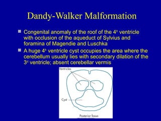 Cranial Ultrasound of neonate | PPT