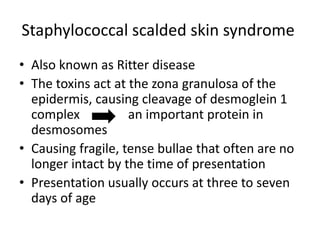 Neonatal dermatoses | PPTX