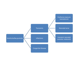 Neonatal dermatoses | PPTX