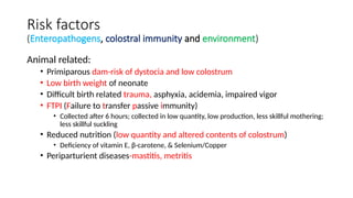 Neonatal Diarrhea in ruminants by mahpara safdar | PPT