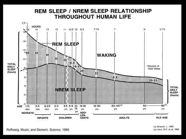 EEG in Neonates - Normal Variants and Pathological Traces | PPT