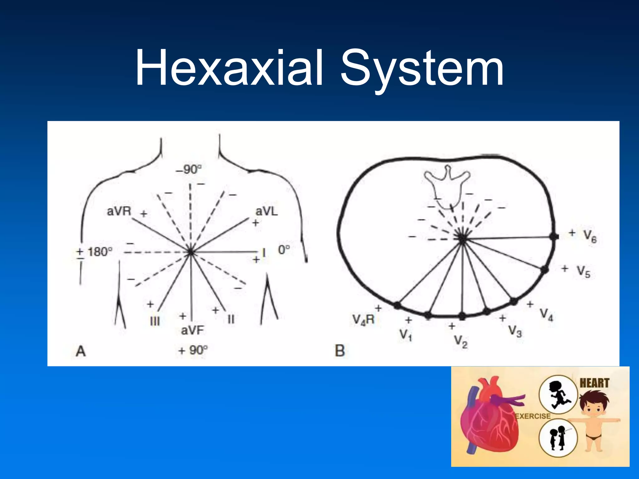 Neonatal ekg | PPTX