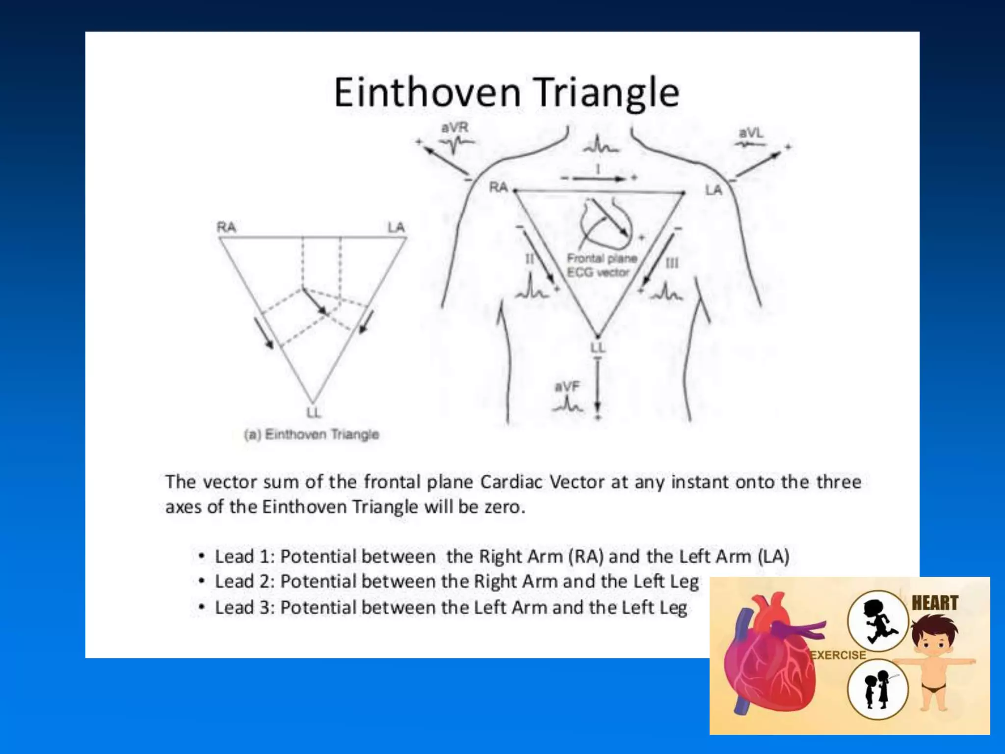 Neonatal ekg | PPTX