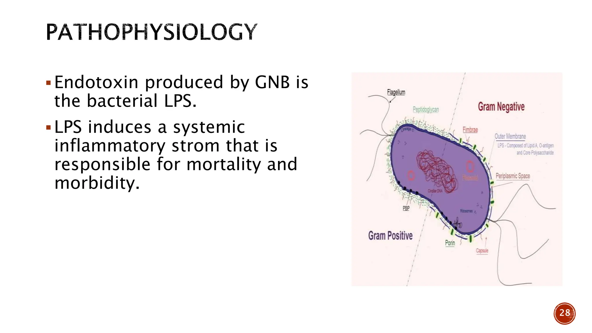 Neonatal_fungal_and_GNB_sepsis [1].pptx