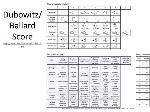 Neonatal Gestational Age Assessment.ppt