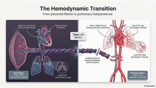 Overview of Neonatal Hemodynamic Transition | PPTX