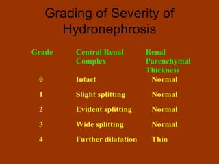 Neonatal hydronephrosis | PPT