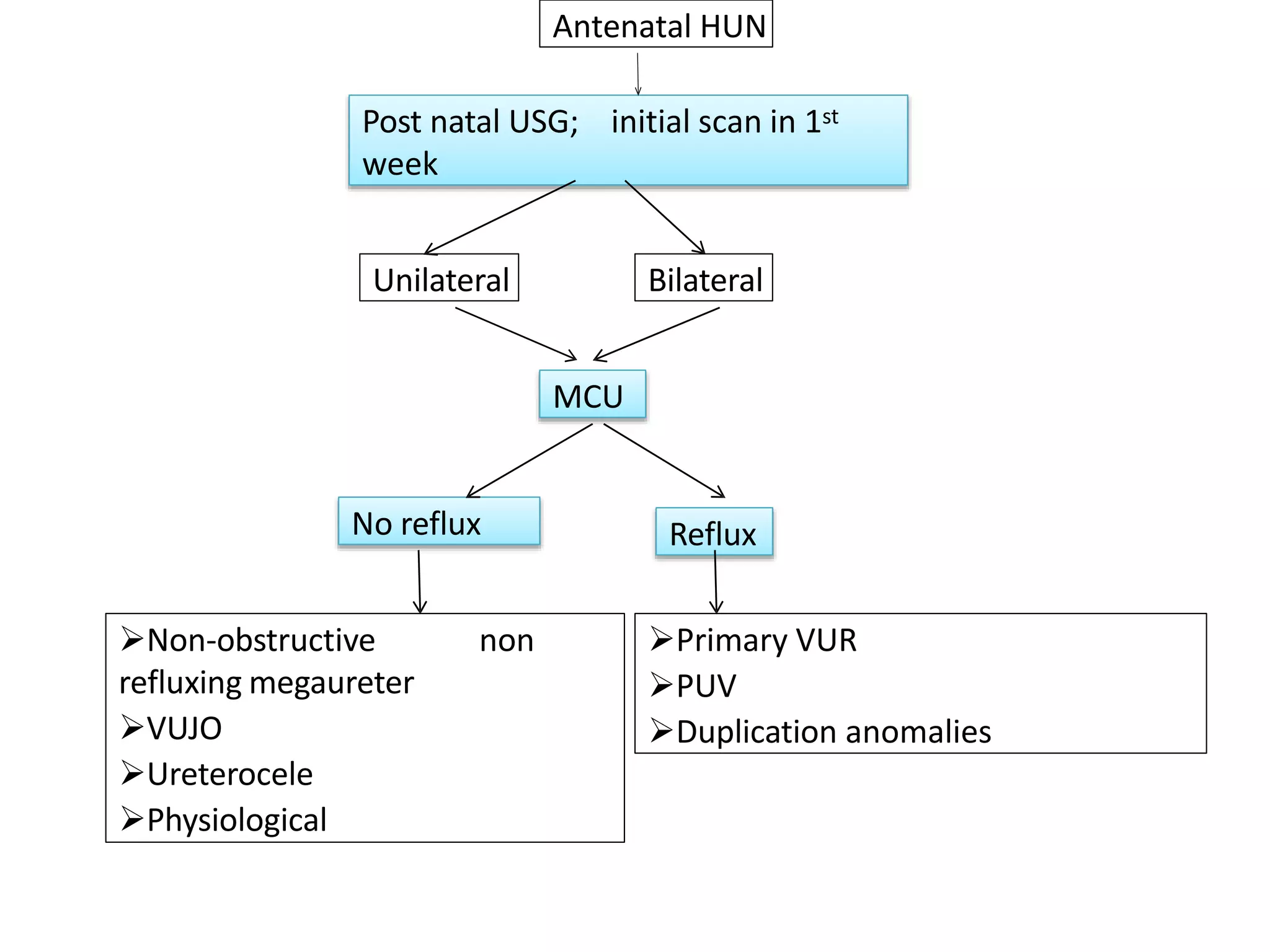 Neonatal hydronephrosis | PPTX