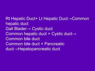 Neonatal hyperbilirubinemia.Bilirubinaemia of Newbornpptx | PPTX
