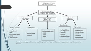Neonatal hypoglycemia and hypergycemia | PPTX