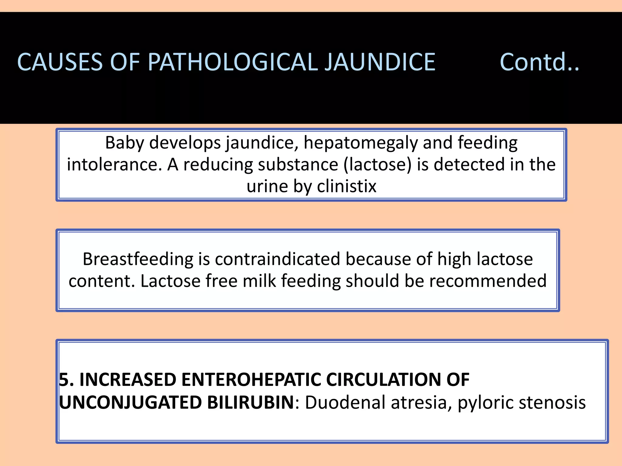 Neonatal icterus.pptx