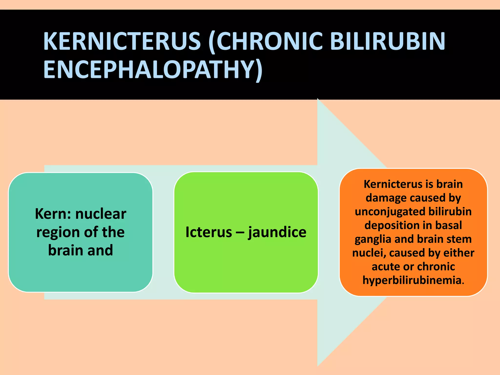 Neonatal icterus.pptx