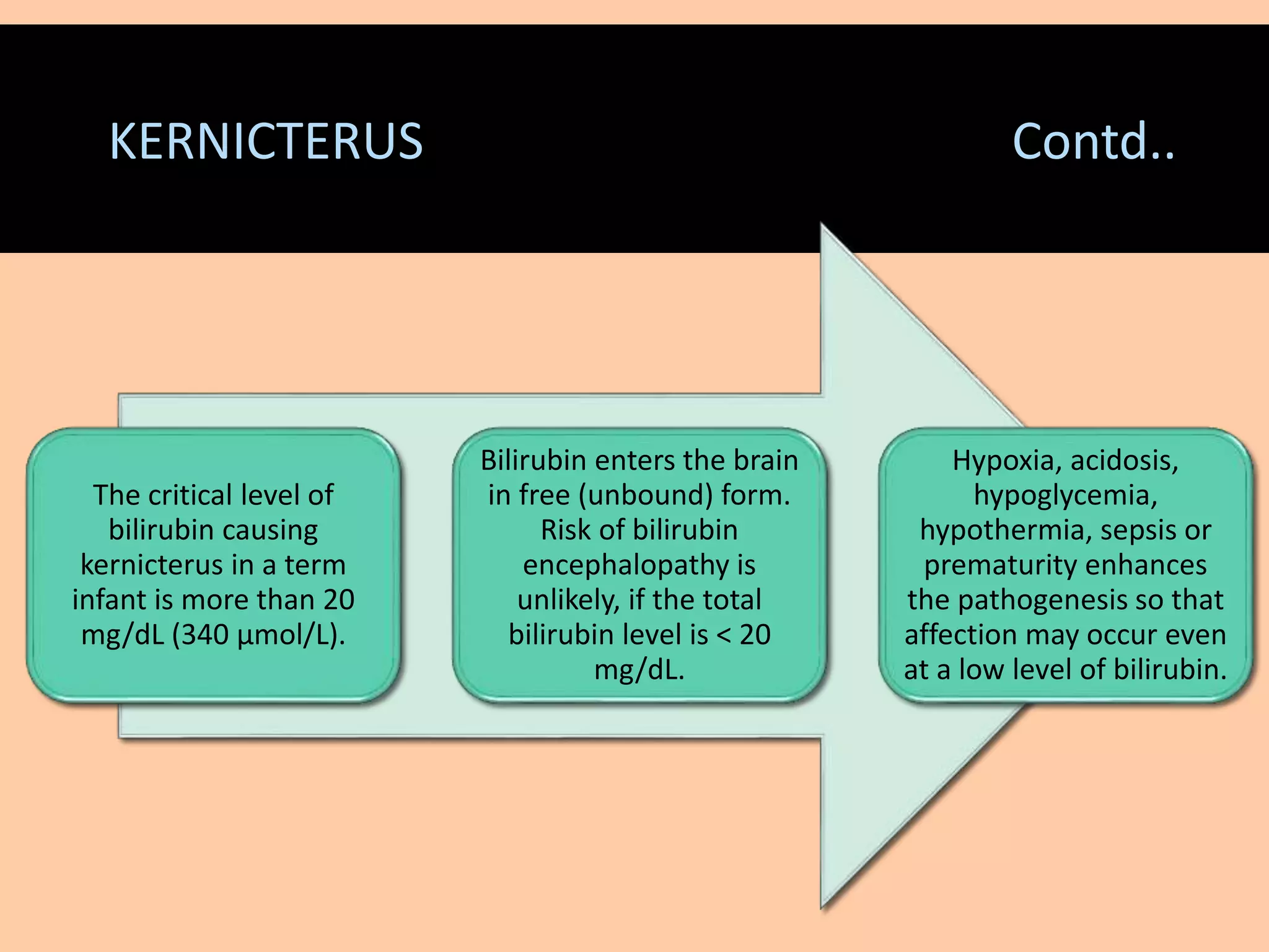 Neonatal icterus.pptx