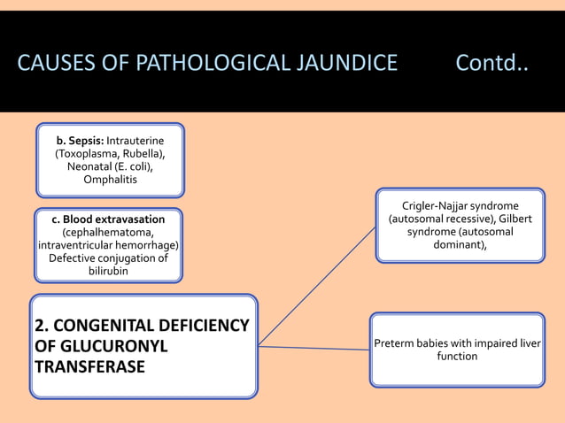 Neonatal icterus.pptx | Pregnancy | Reproductive Health