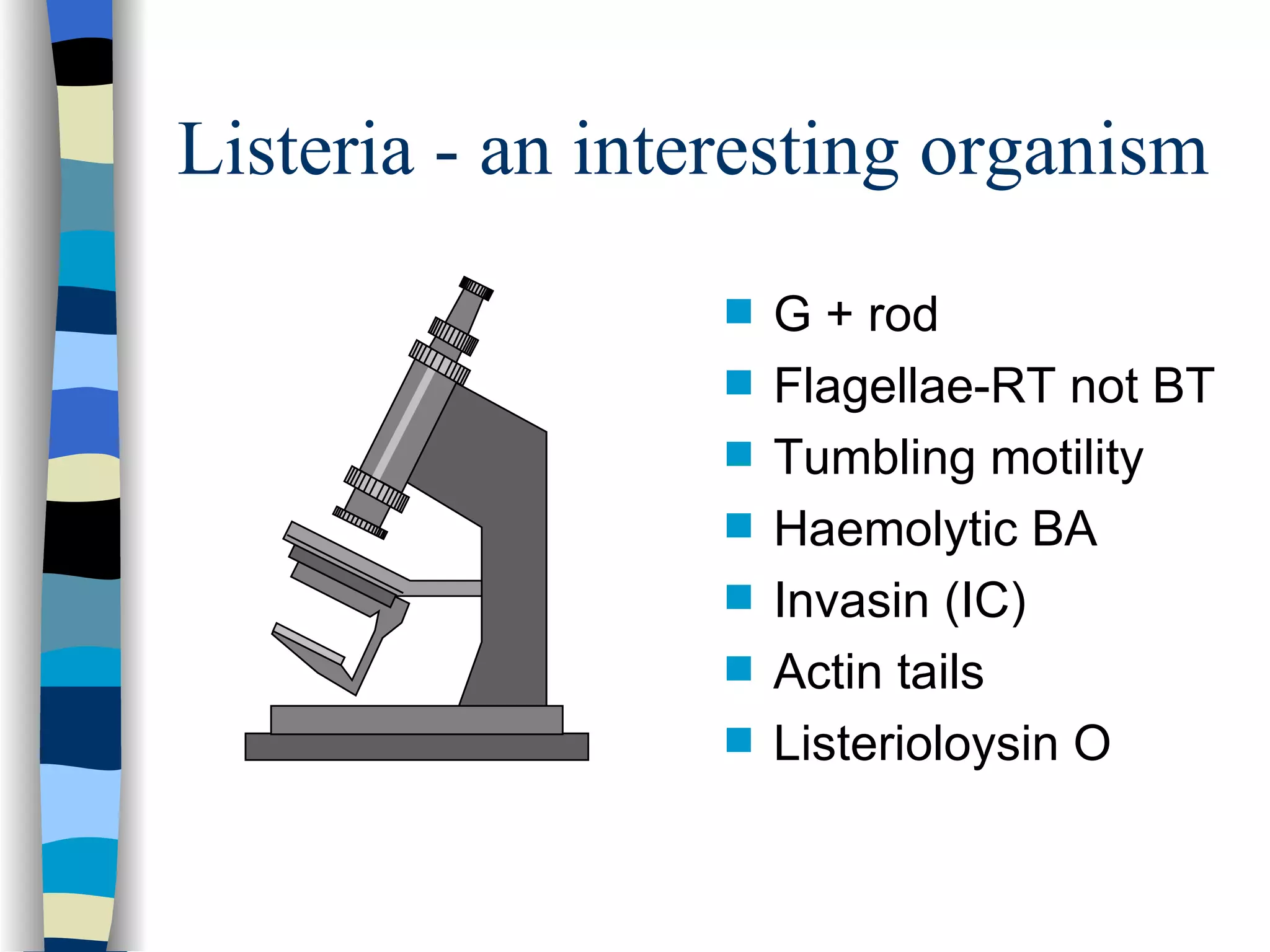 Neonatal Infection 2005 | PPT