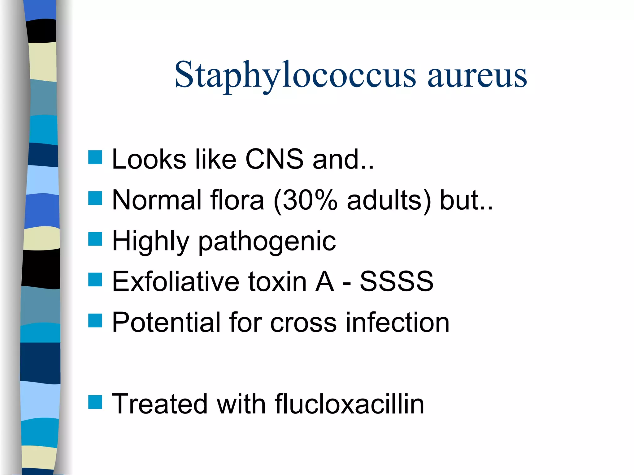 Neonatal Infection 2005 | PPT