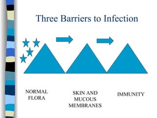 Neonatal Infection 2005 | PPT